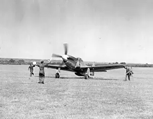 Mustang Collection of Photo Prints and Gifts