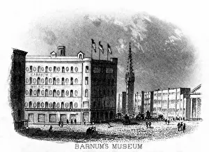 Barnum Collection of Art Prints and Gifts