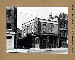 Stepney Collection of Photo Prints and Gifts