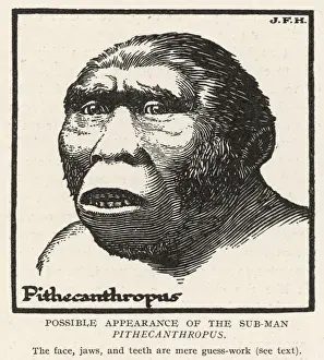 Erectus Art Prints, Posters & Puzzles