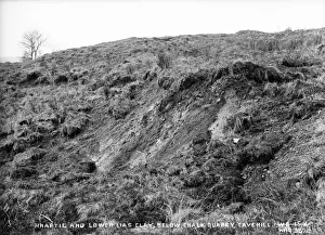 Lias Art Prints, Posters & Puzzles