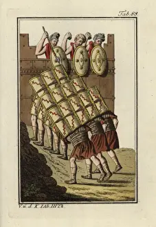 Testudo Art Prints, Posters & Puzzles