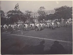 Kolkata Art Prints, Posters & Puzzles