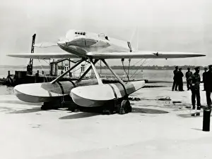 Viib Art Prints Collection