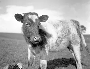 Kaber Collection of Photo Prints and Gifts