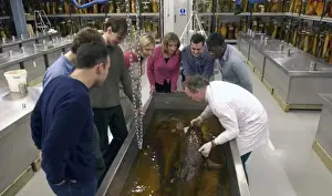 Tank Room Art Prints, Posters & Puzzles